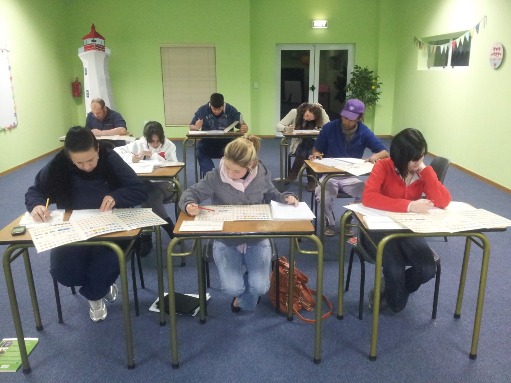 Learner License Classes | Omega Driving School